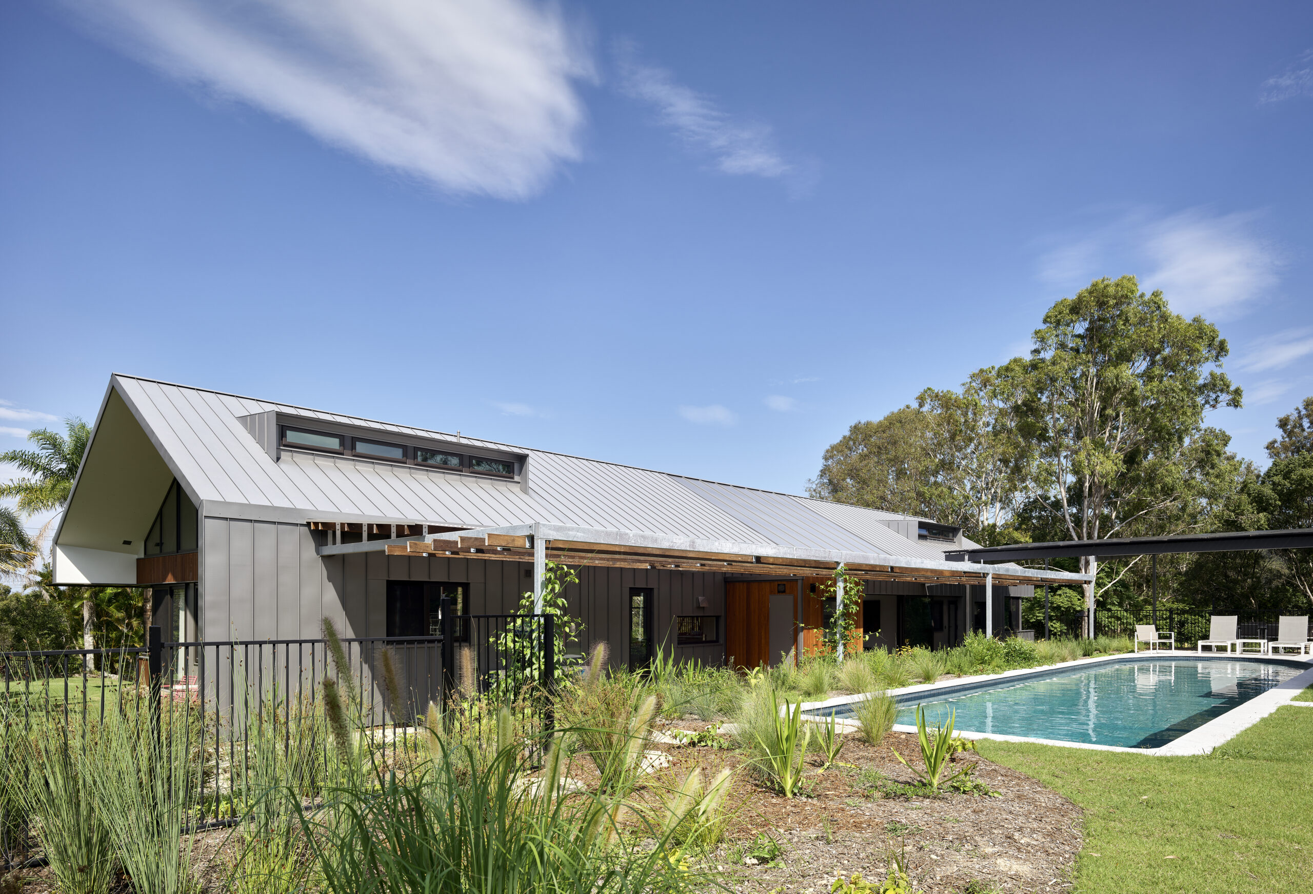 Kingfisher | Kai Konstruct